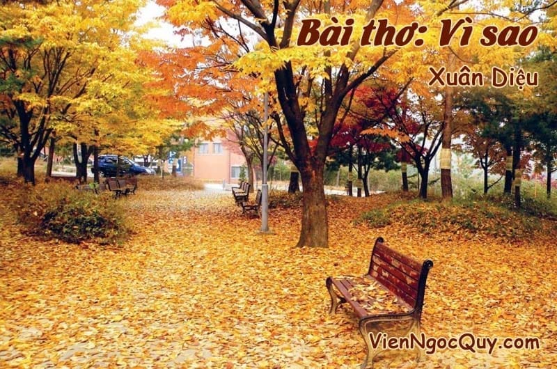 Bài thơ “Vì sao” – Xuân Diệu - Viên Ngọc Quý