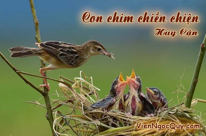 Bài thơ: Con chim chiền chiện - Huy Cận - Viên Ngọc Quý